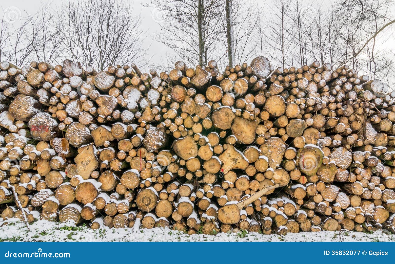 A Pile of Logs stock image. Image of forestry, timber - 35832077