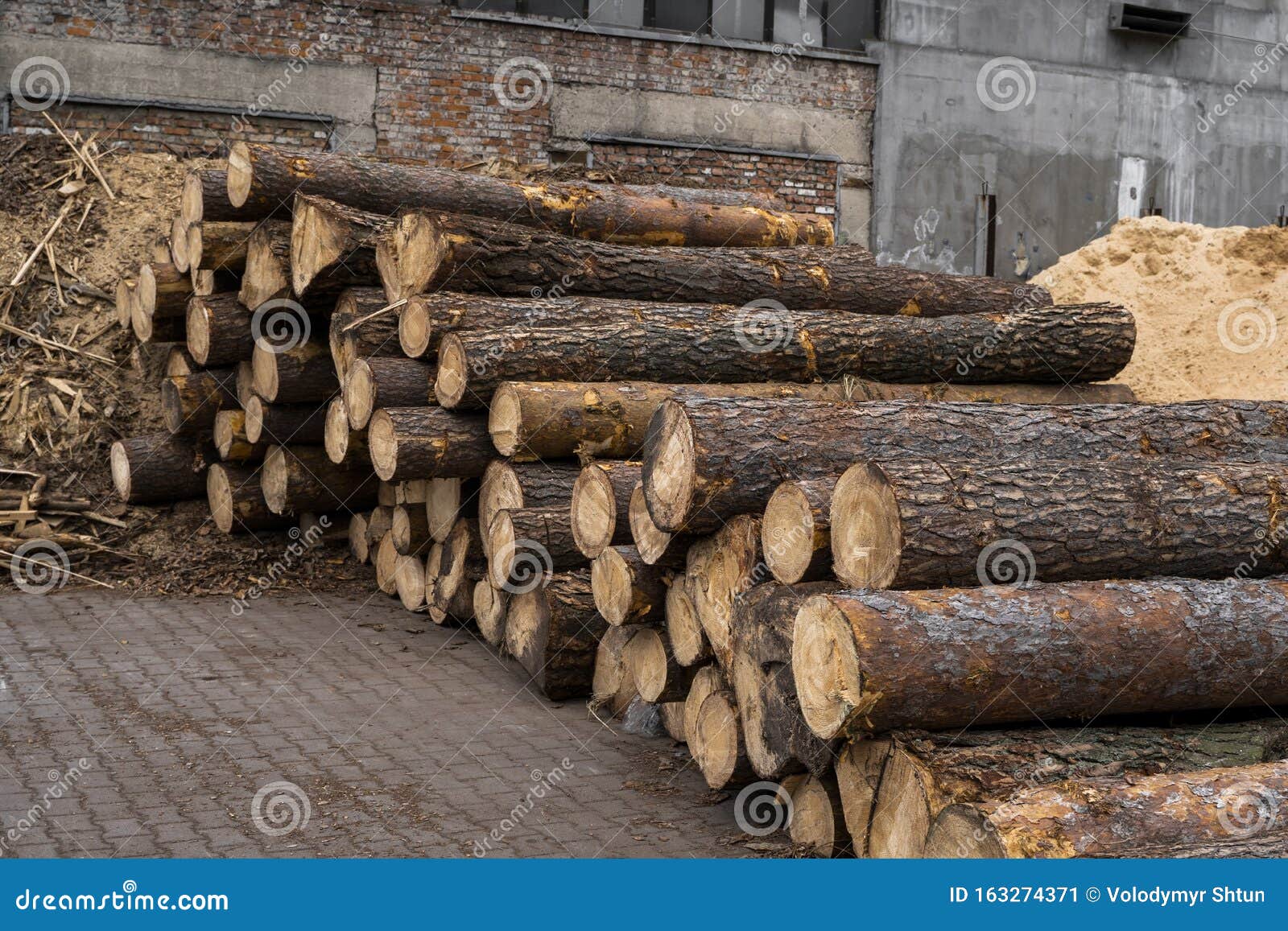 A Pile of Logs Lie on a Forest Platform, a Sawmill. Processing of ...