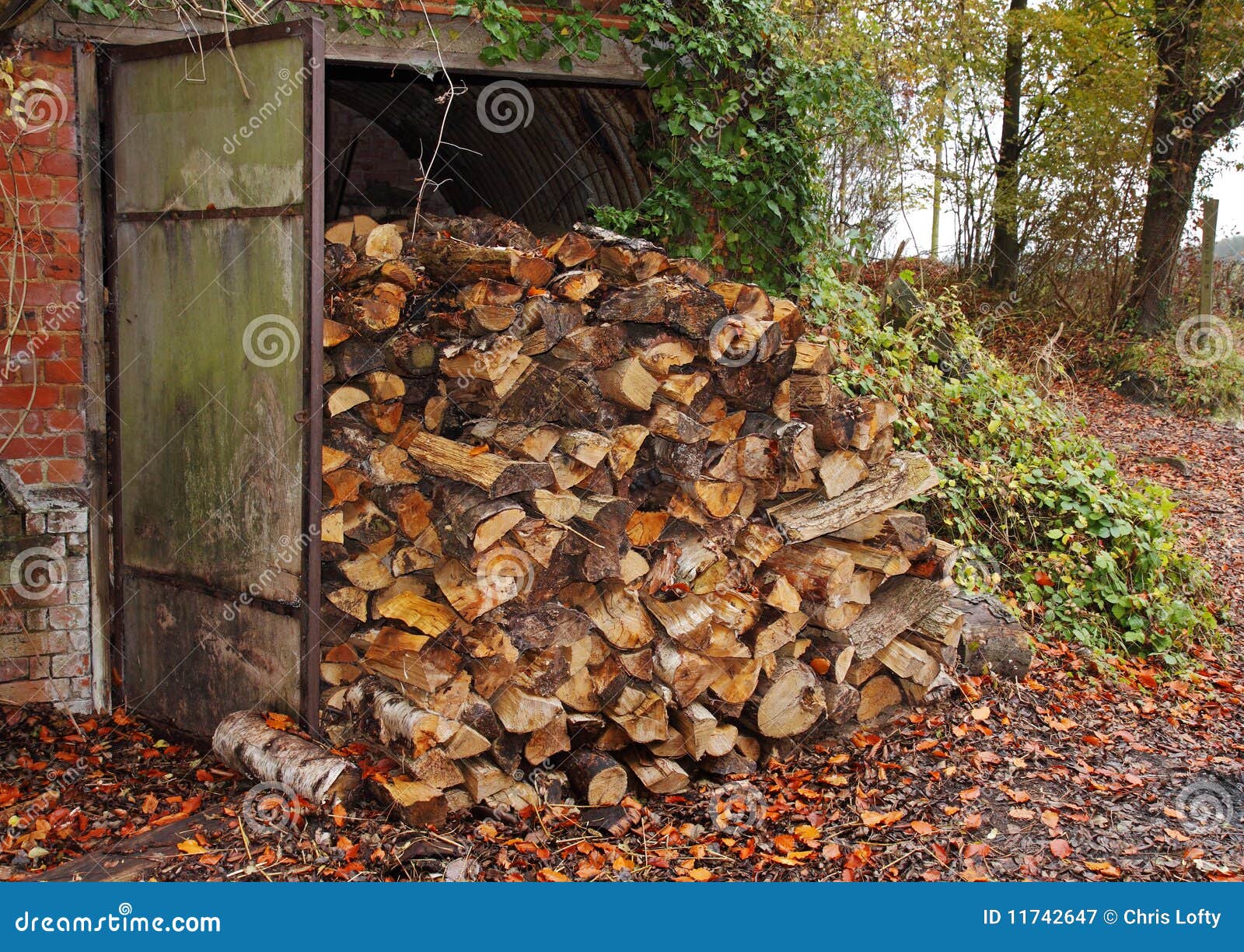 Pile of Logs by an old Hut stock image. Image of forestry - 11742647