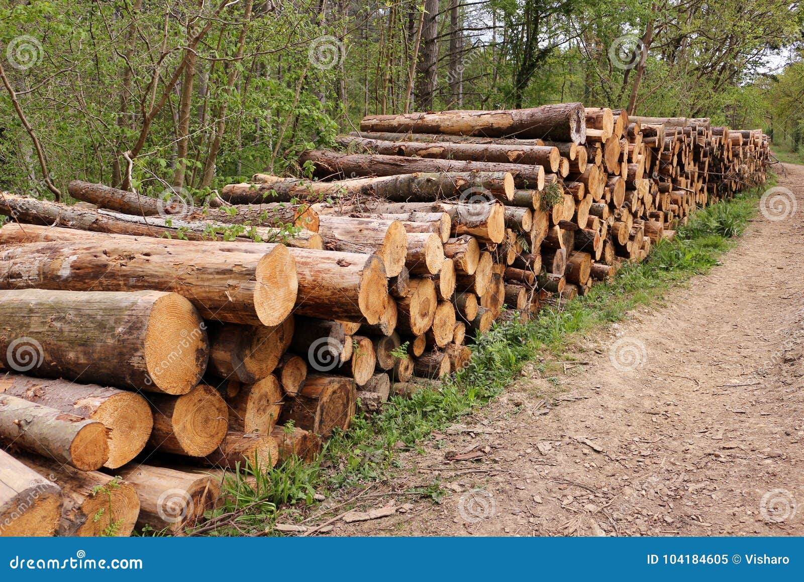 Pile of logs by a path stock image. Image of material - 104184605