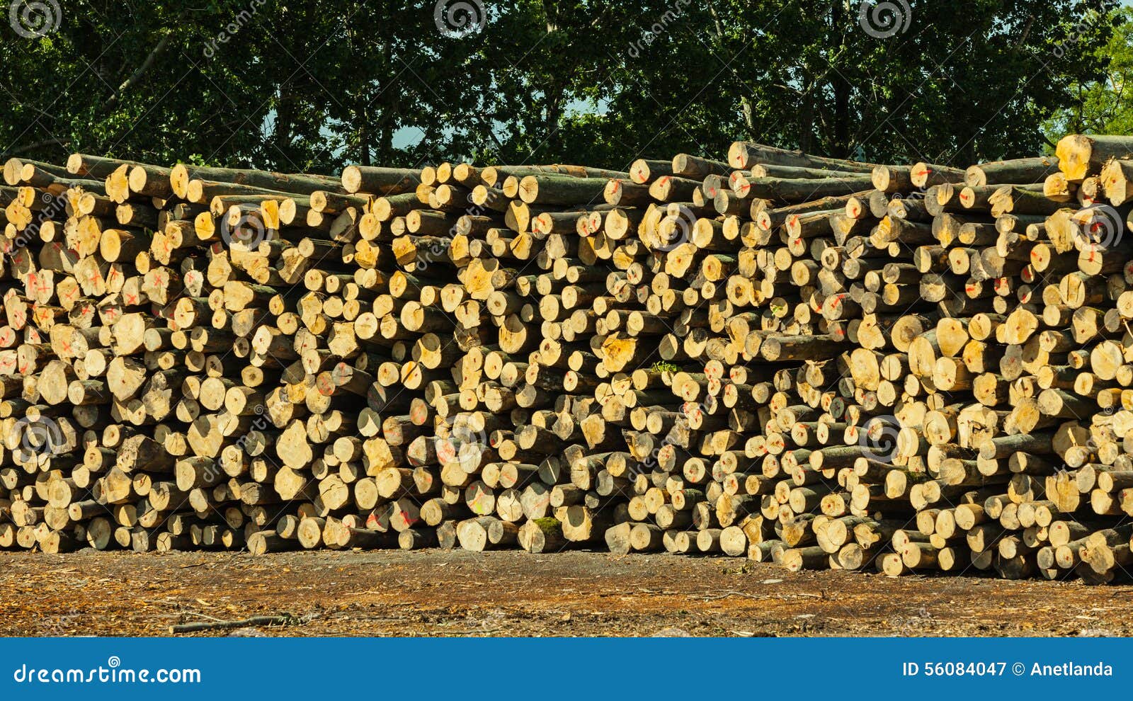 Pile of Logs at the Port Ready for Loading To Ships Stock Image - Image ...