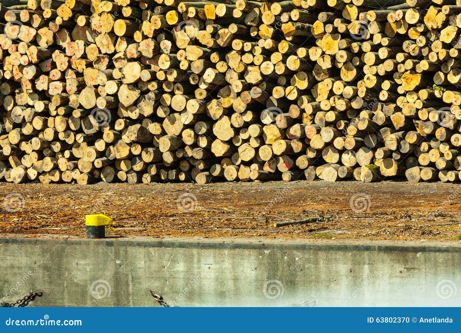 Pile of Logs at the Port Ready for Loading To Ships Stock Photo - Image ...