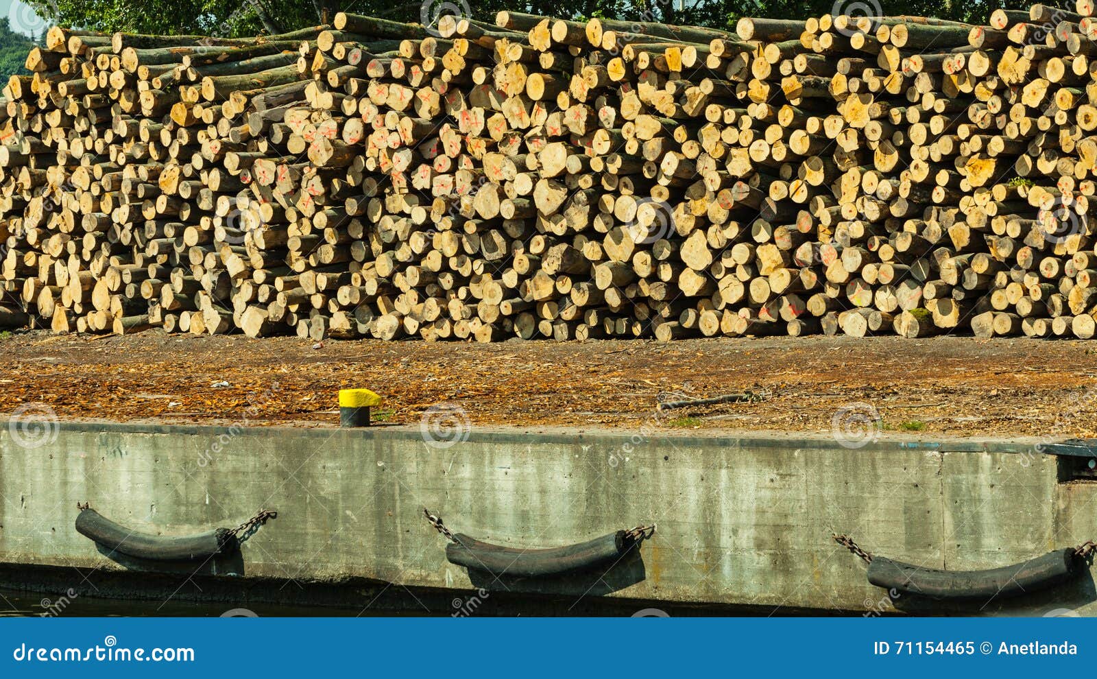 Pile of Logs at the Port Ready for Loading To Ships Stock Image - Image ...