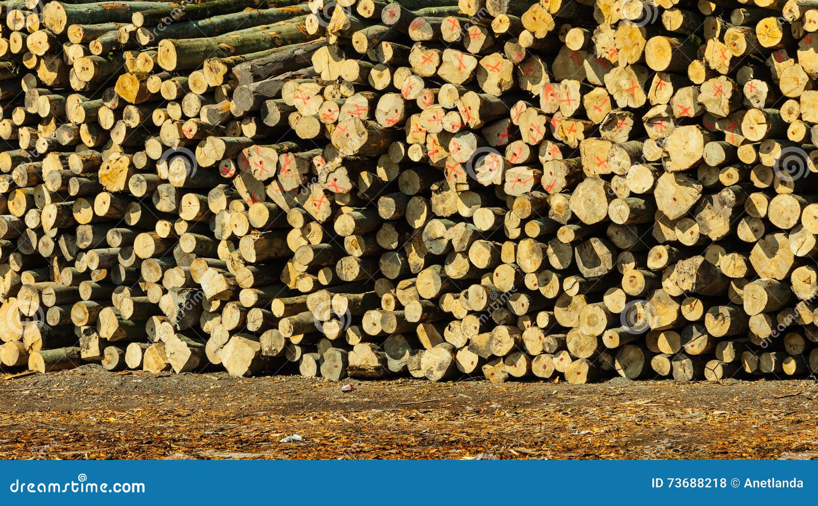 Pile of Logs at the Port Ready for Loading To Ships Stock Photo - Image ...