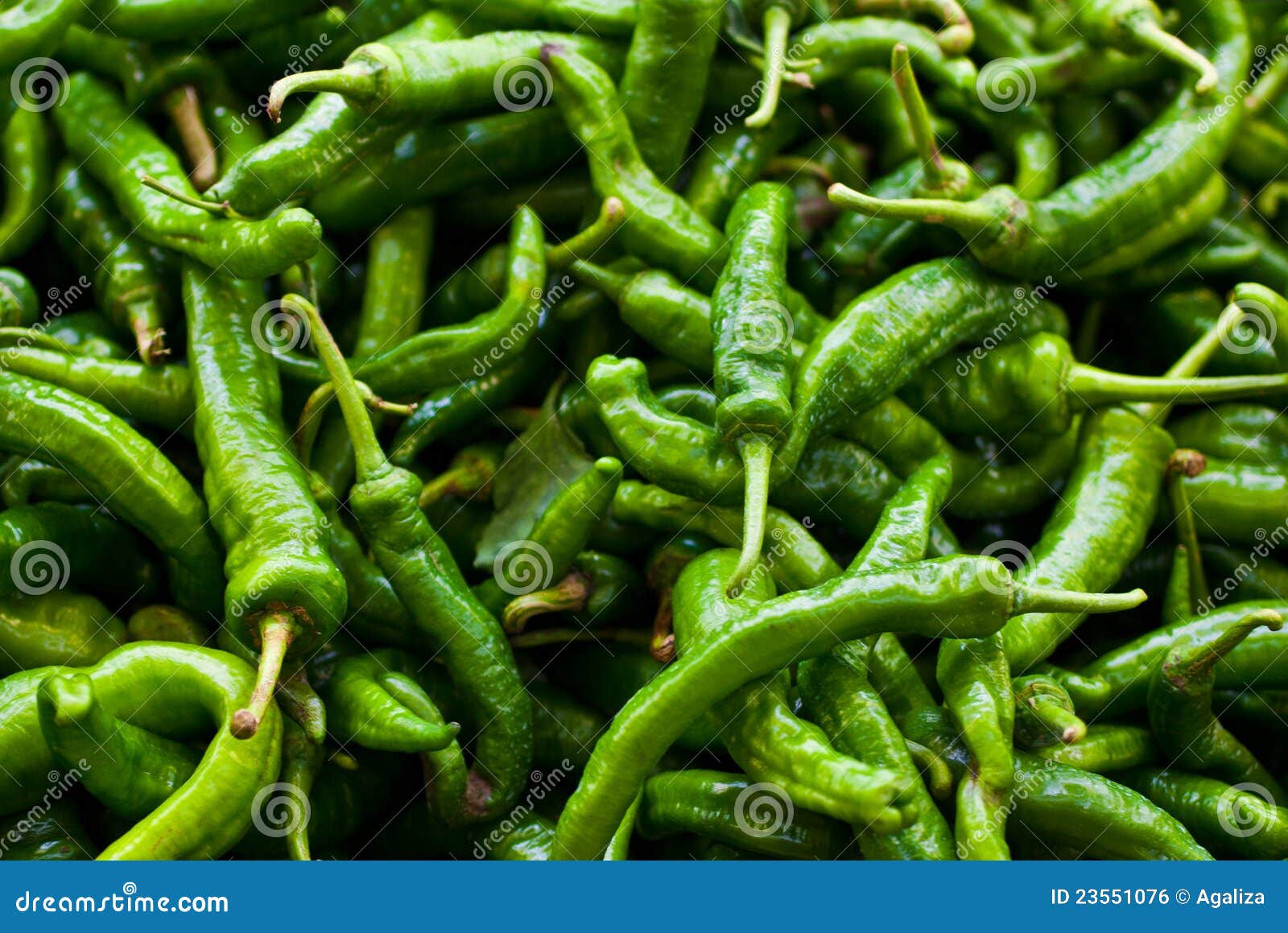 Pile of Longhorn Peppers stock photo. Image of longhorn - 23551076