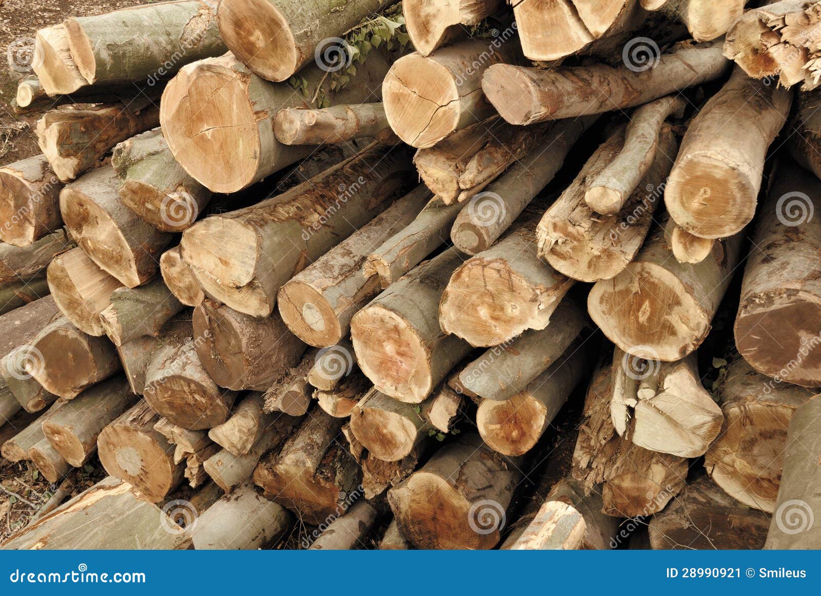 Pile of lumber stock image. Image of lumber, forest, economy - 28990921
