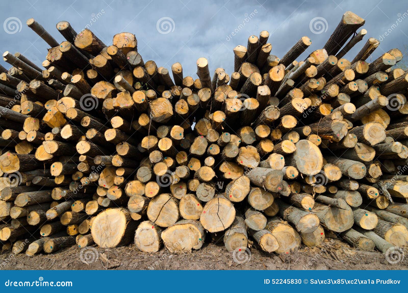 Pile of Lumber on the Lumberyard in Spring Stock Photo - Image of ...