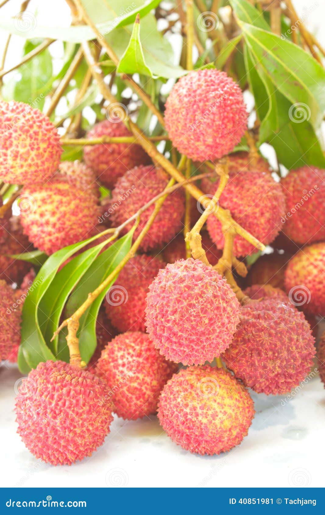 Pile of lychee at market. stock image. Image of asian - 40851981