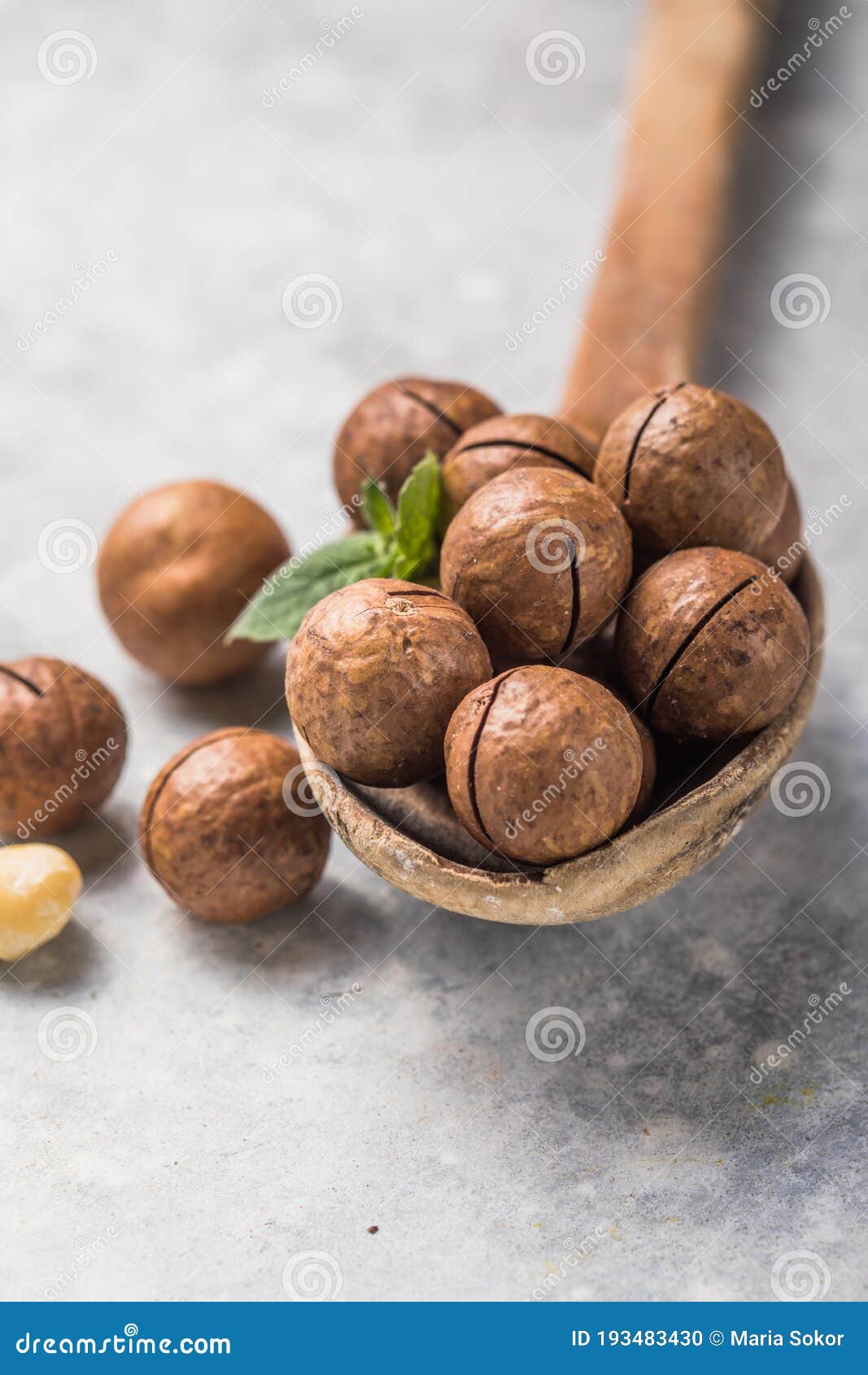 Pile Macadamia Nuts Open Kernels and Shells in Spoon on Stone ...