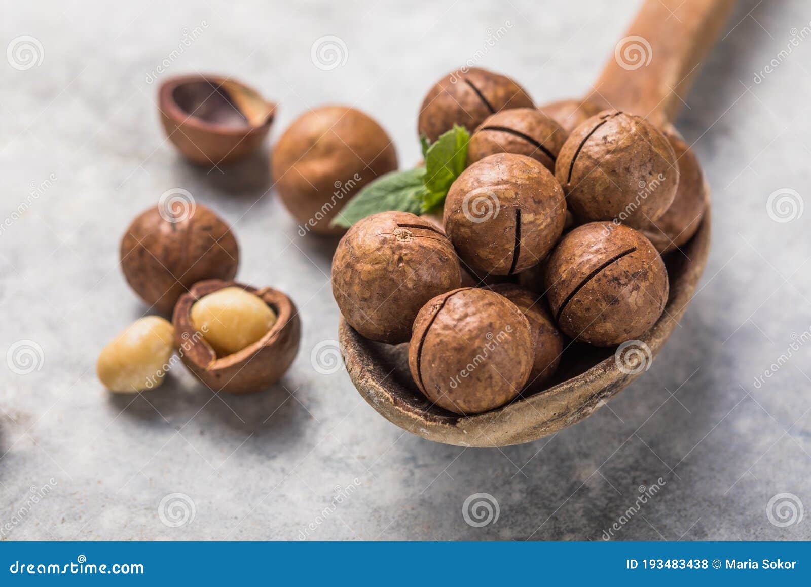 Pile Macadamia Nuts Open Kernels and Shells in Spoon on Stone ...