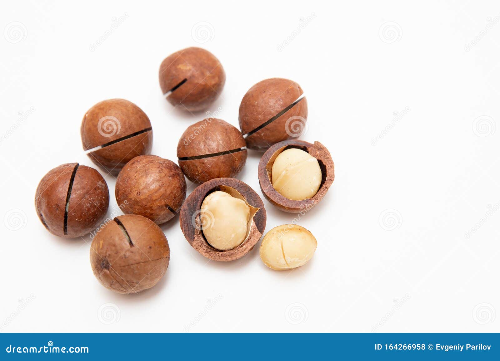 Pile Macadamia Nuts Open Kernels and Shells on White Background, Top ...