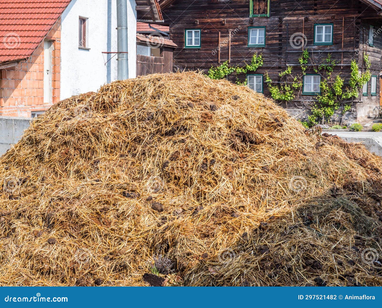 Pile of Manure on a Farm in the Countryside Stock Photo - Image of ...