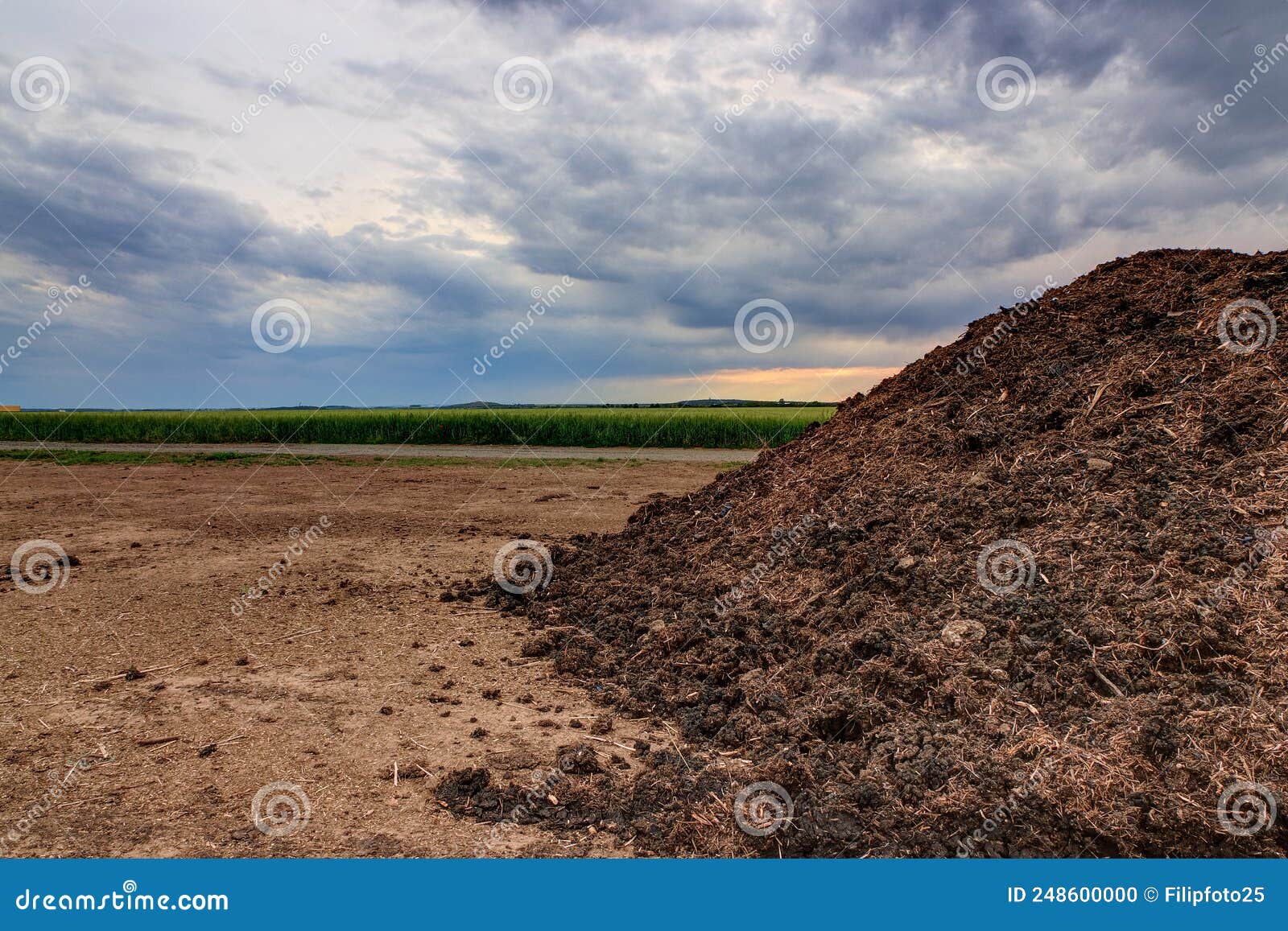 Pile of Manure in the Field Stock Photo - Image of field, soil: 248600000