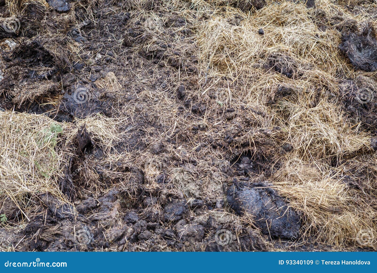 Pile of Manure for Field Fertilization Stock Image - Image of gardening ...