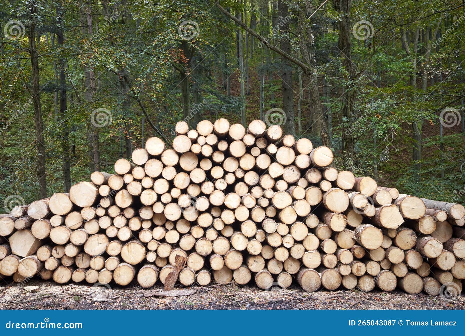Pile of heavy wood logs stock image. Image of pattern - 265043087