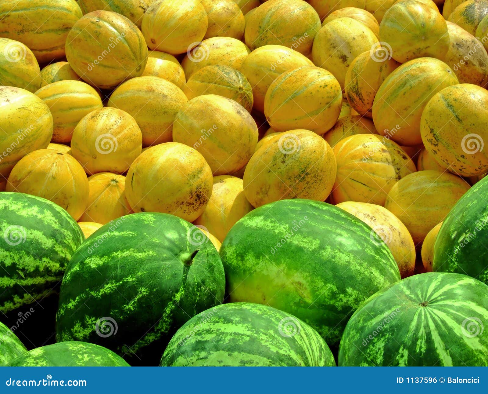 Pile of melons stock photo. Image of healthy, mellow, delicious - 1137596