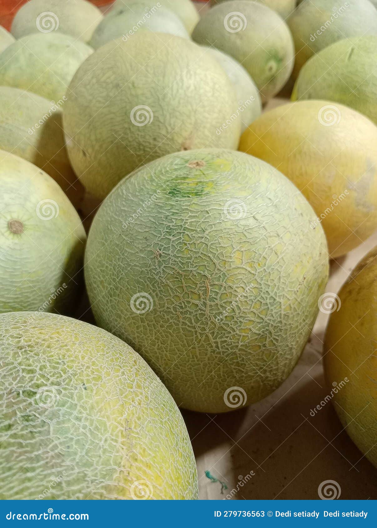 Pile of Melons in a Fruit Shop on a Shelf Stock Image - Image of berry ...