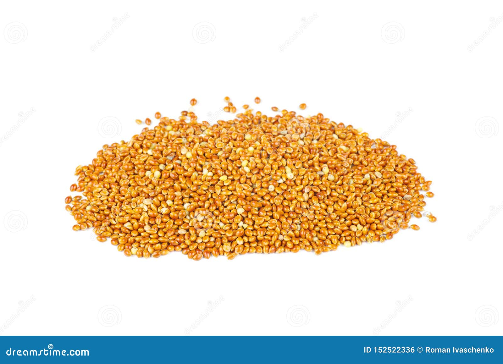 Pile of millet seeds stock photo. Image of groats, crop - 152522336