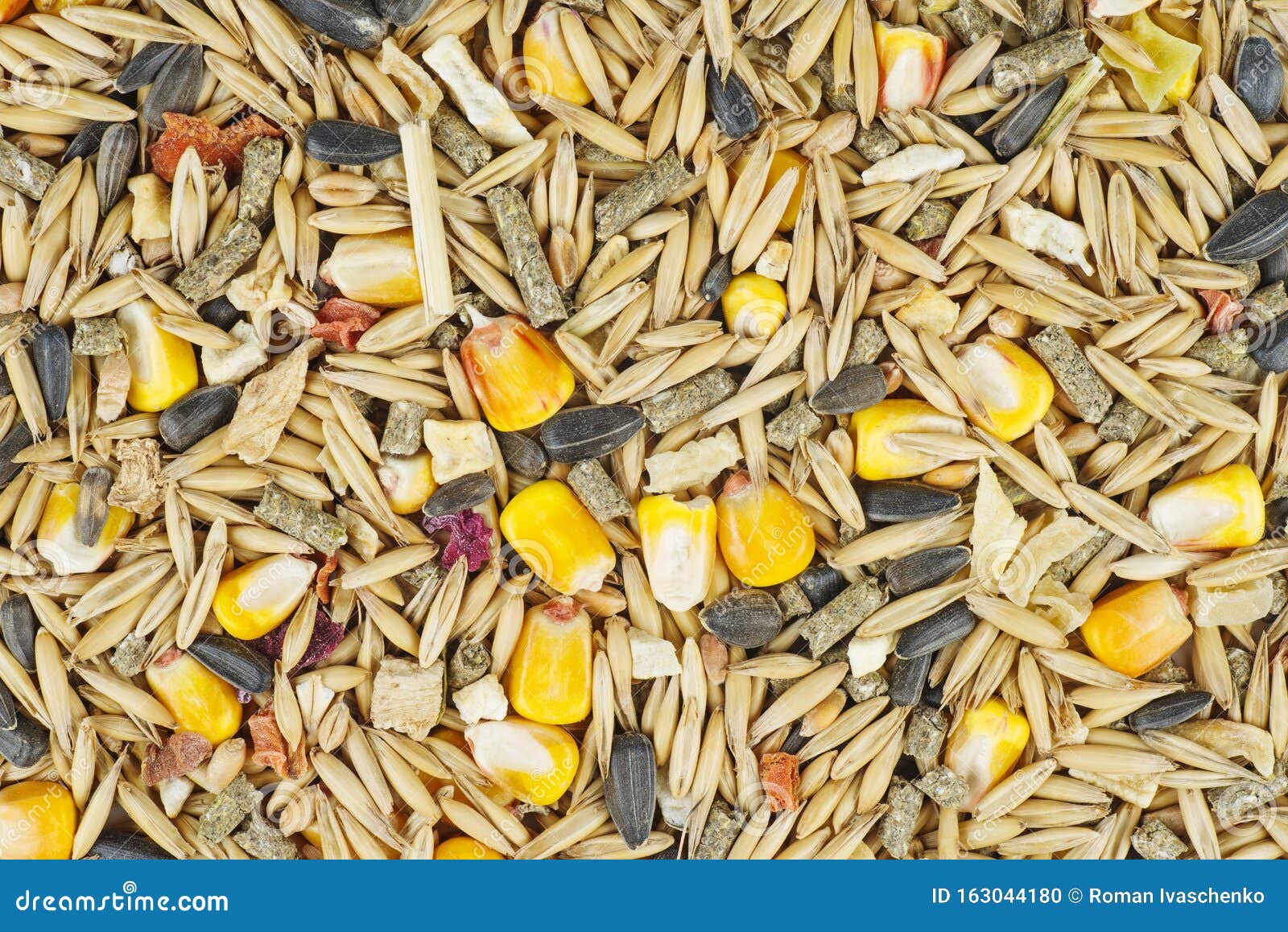 Pile of mixed bird food stock photo. Image of seed, foodbackground ...