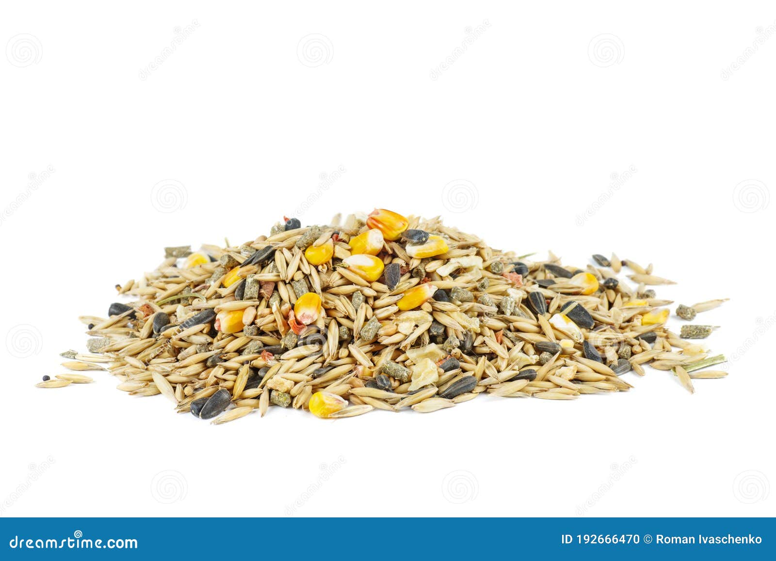 Pile of Mixed Bird Food Isolated on White Stock Photo - Image of corn ...