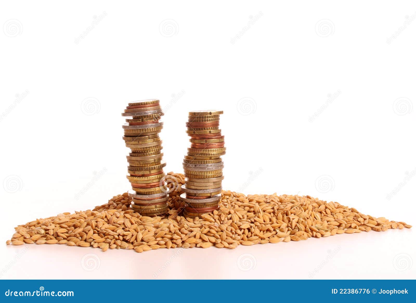 Pile of Money on Harvesting Corn Stock Photo - Image of loan, fifty ...