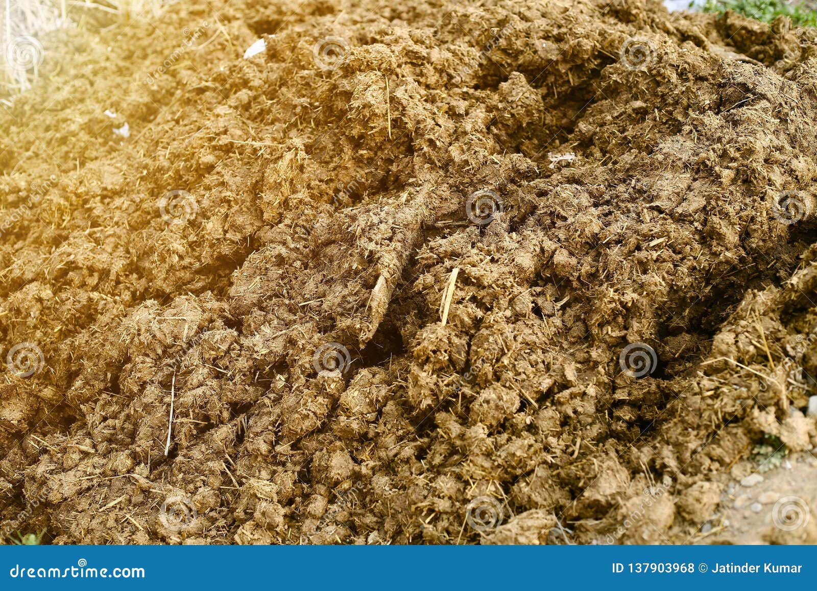 Pile of Mud for Crop Germination Stock Photo - Image of brown ...