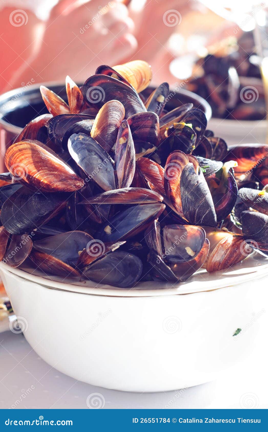 Pile of mussels shells stock photo. Image of food, white - 26551784