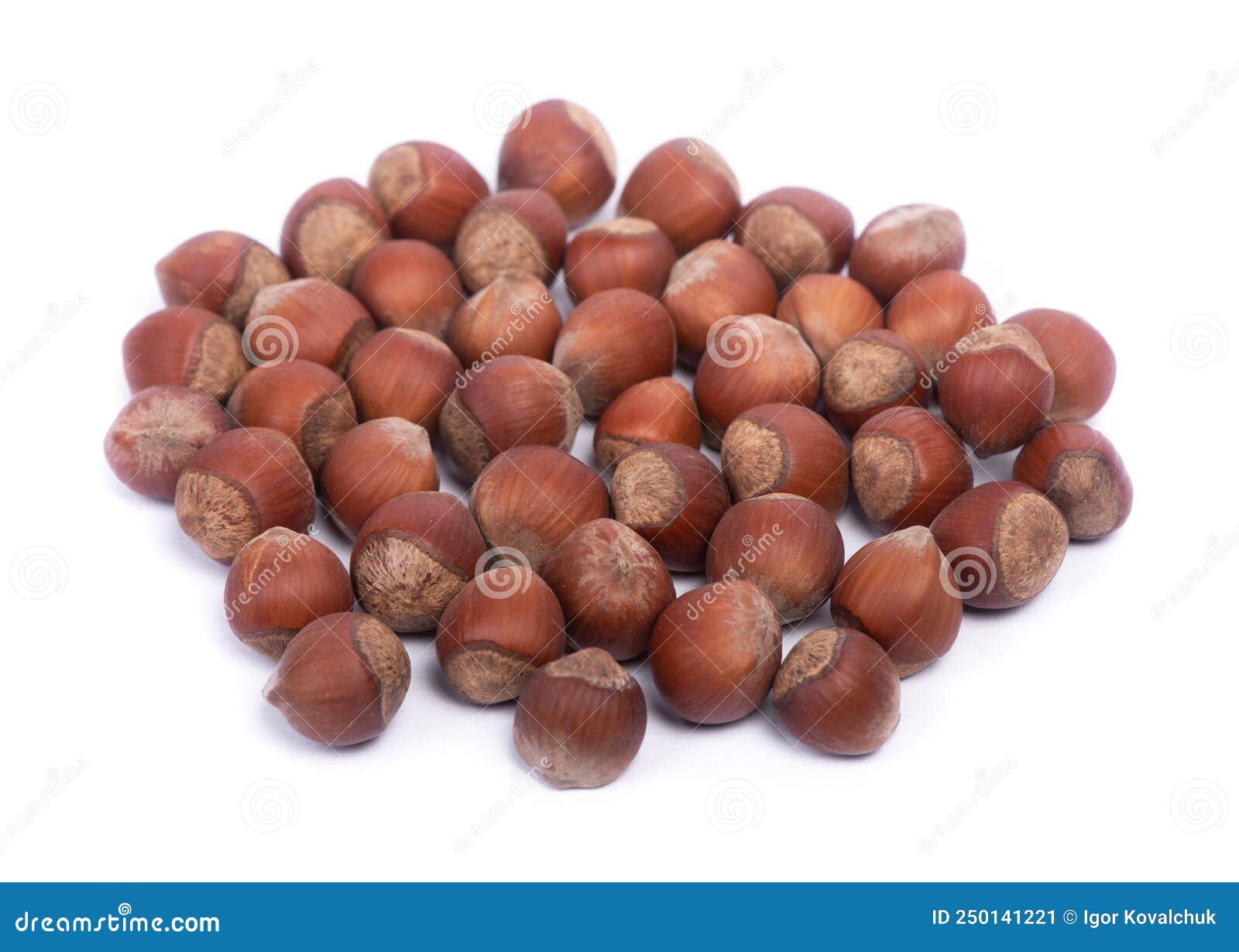 Pile of natural hazelnuts stock image. Image of ripe - 250141221