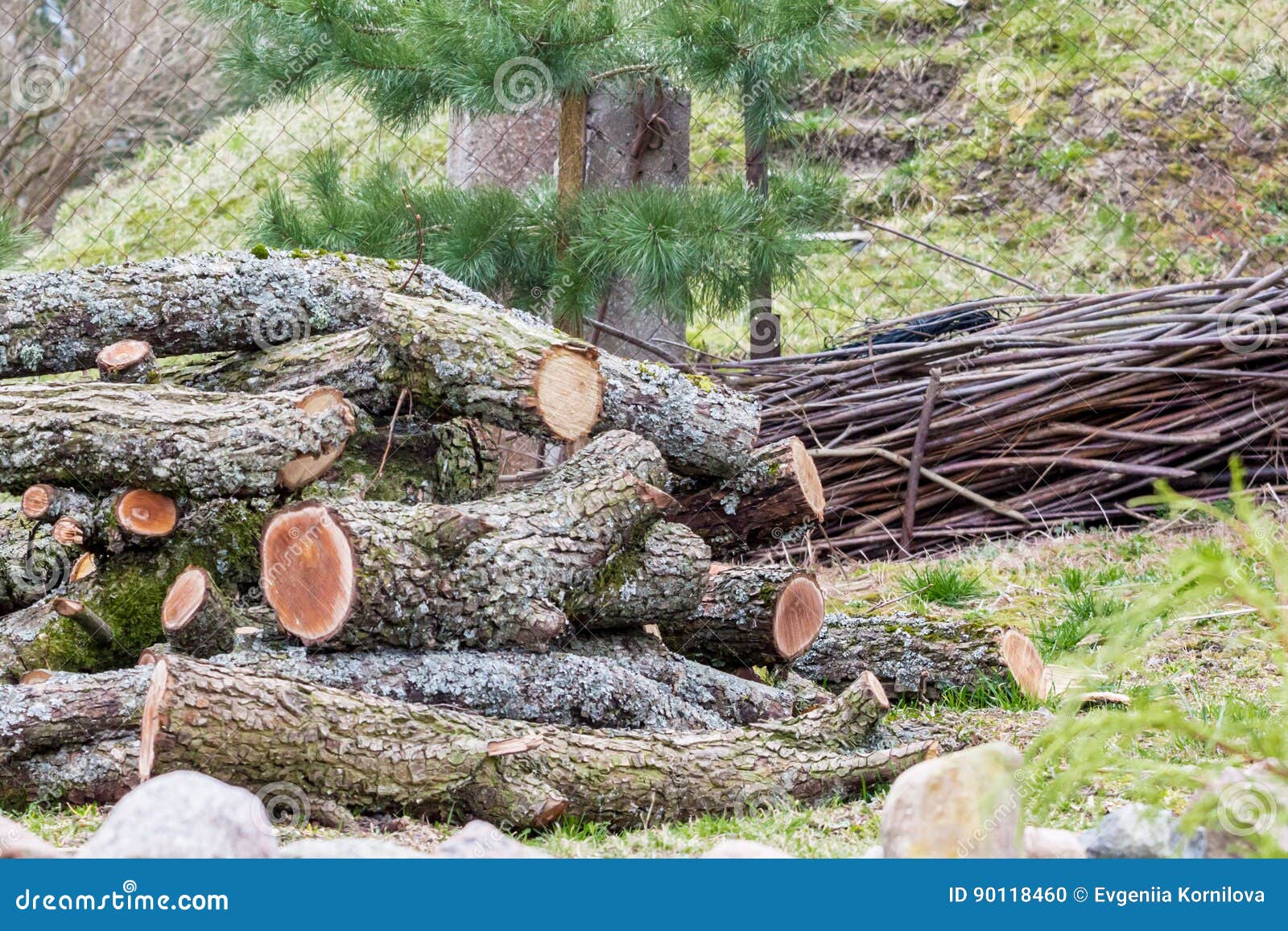 A Pile of Natural Logs with Bark Stock Photo - Image of material ...