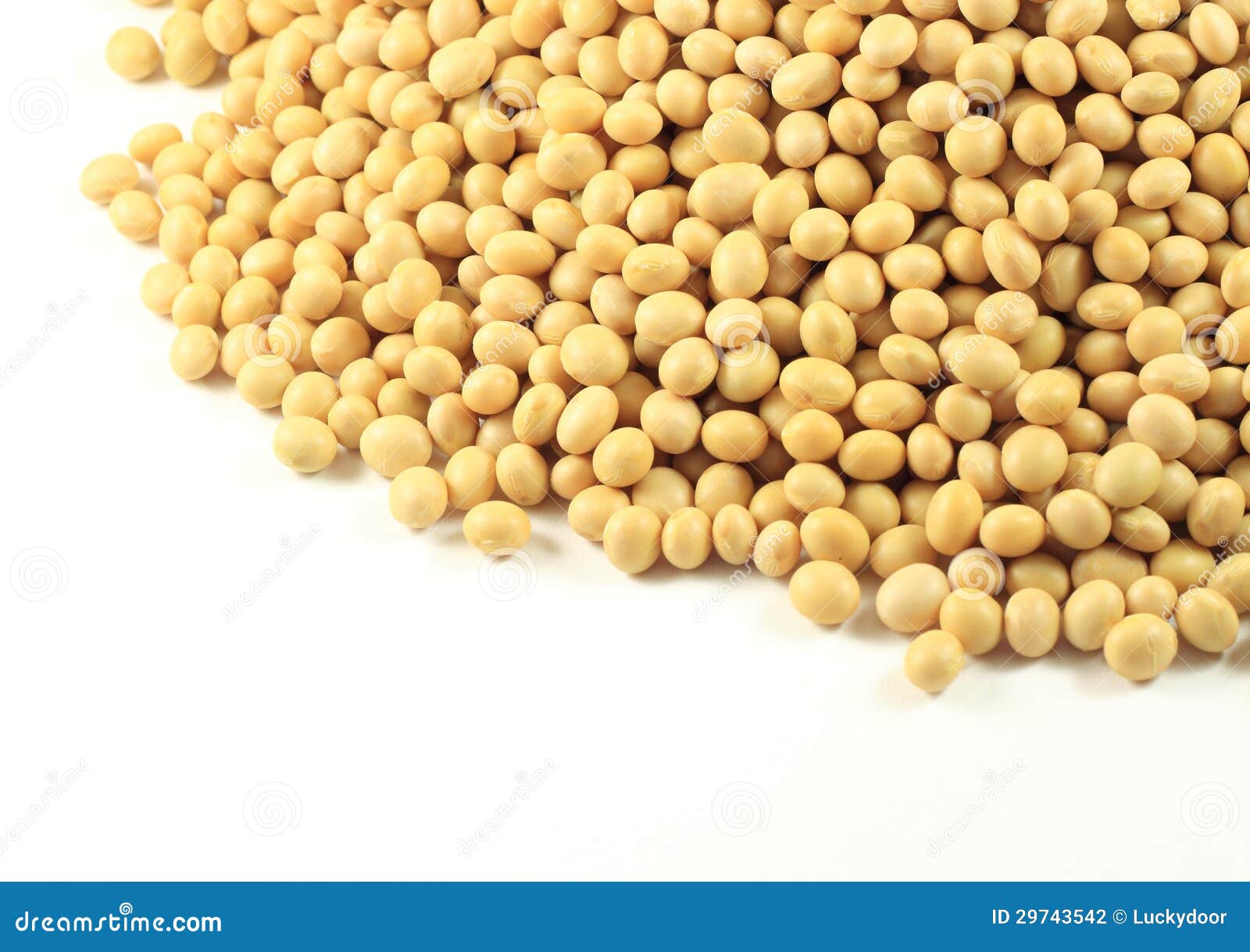 Organic Soybean stock photo. Image of soya, eating, nutrition - 29743542