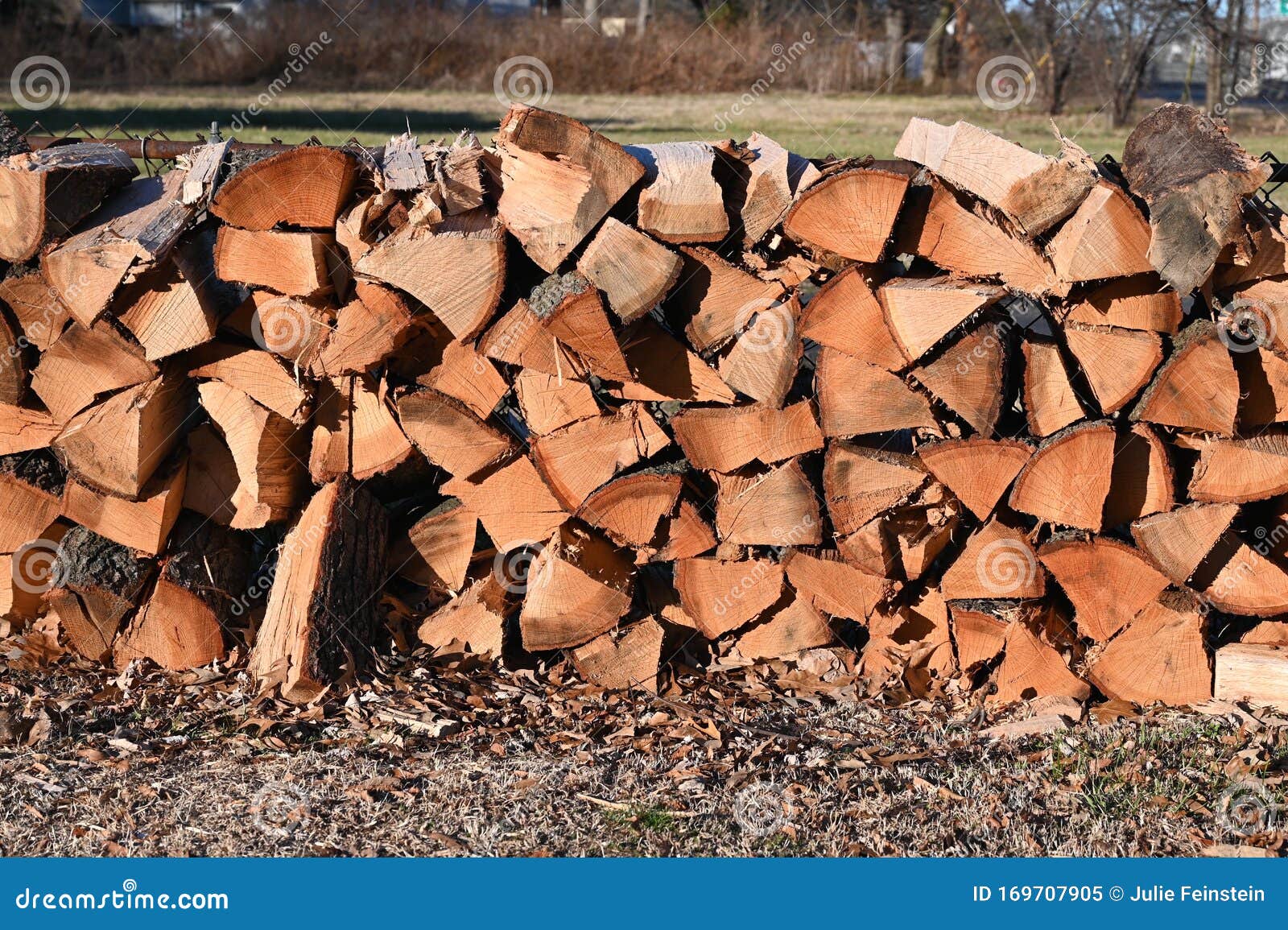 Stacked Split Fire Wood stock image. Image of split - 169707905