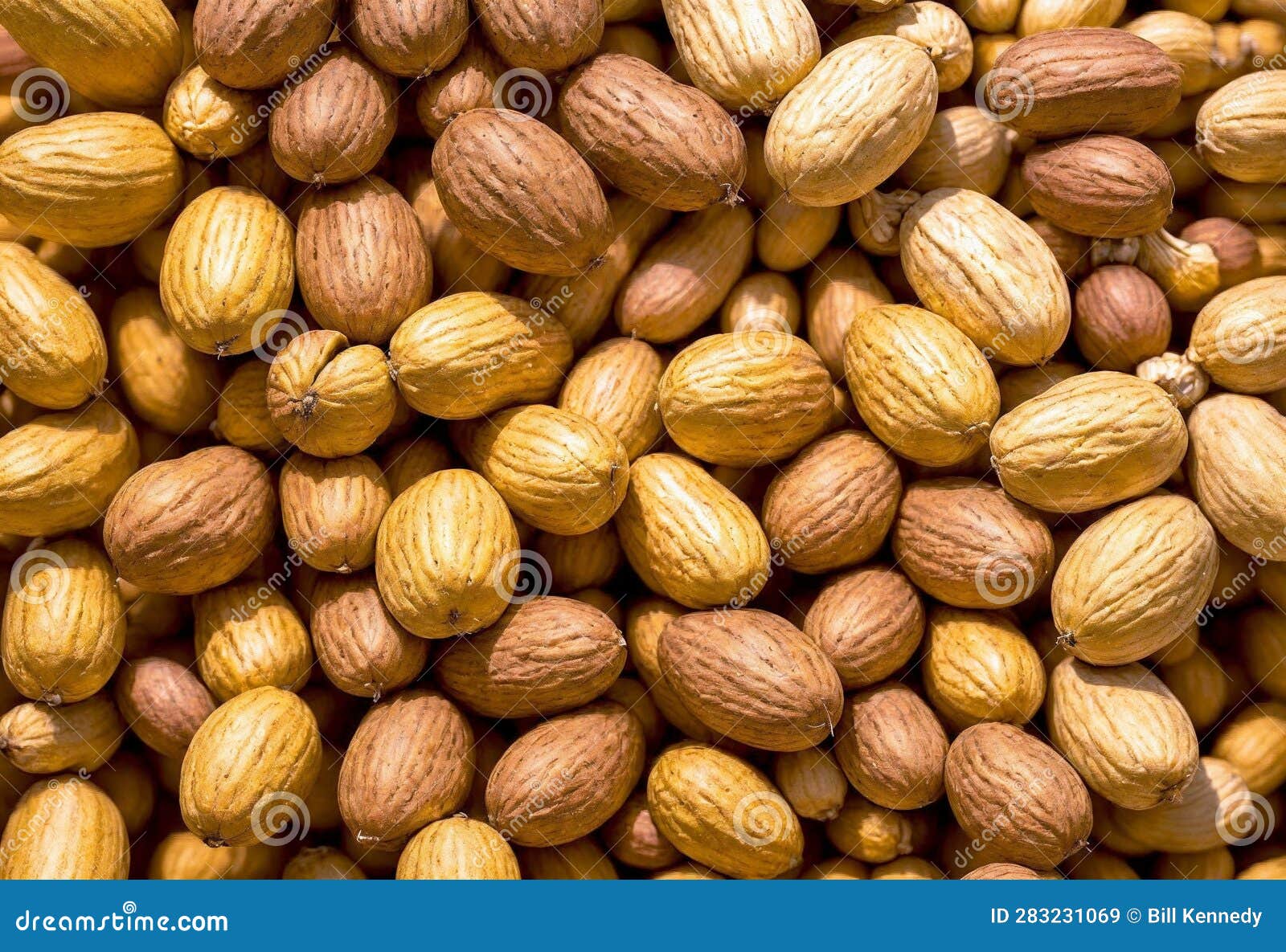 Pile of Nuts Created with Generative AI Stock Illustration ...