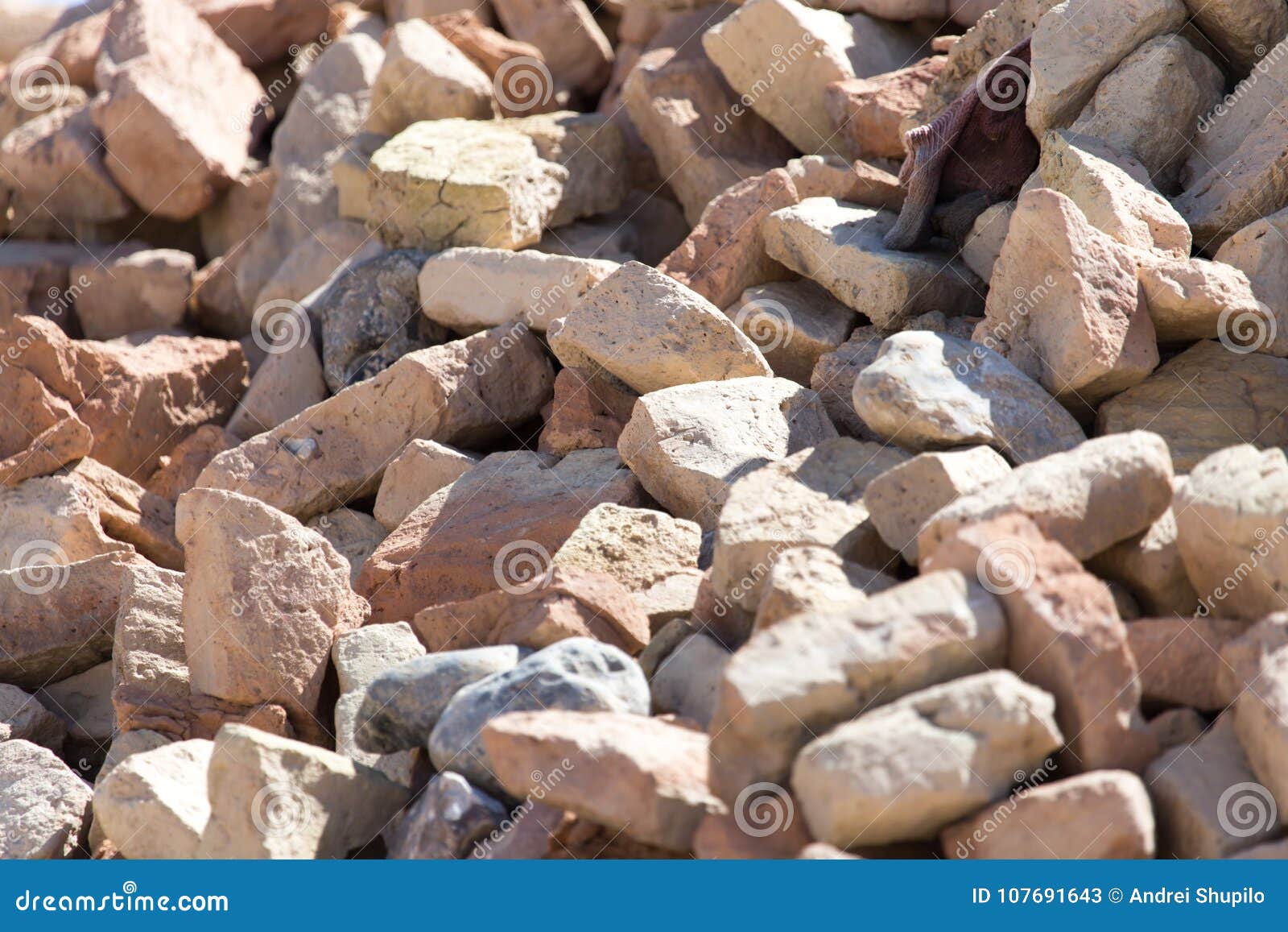 A pile of old bricks stock image. Image of orange, detail - 107691643