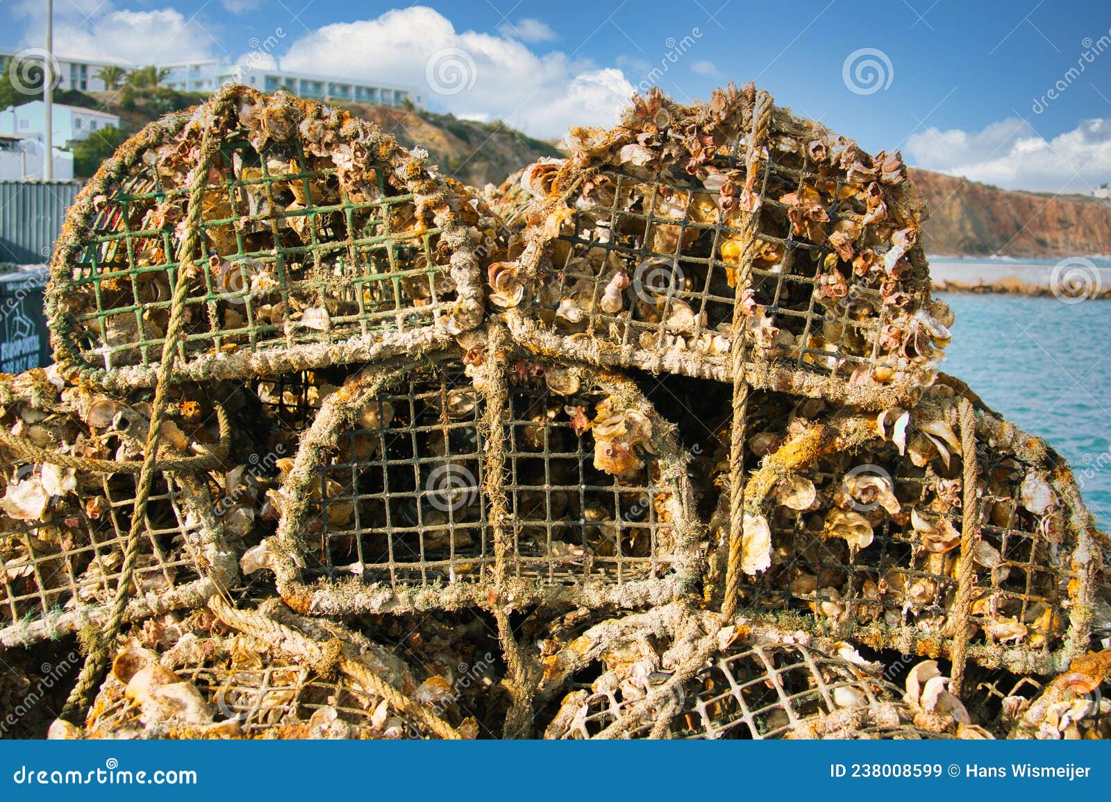 Lobster Pots Covered in Shellfish Stock Image - Image of food, pattern ...