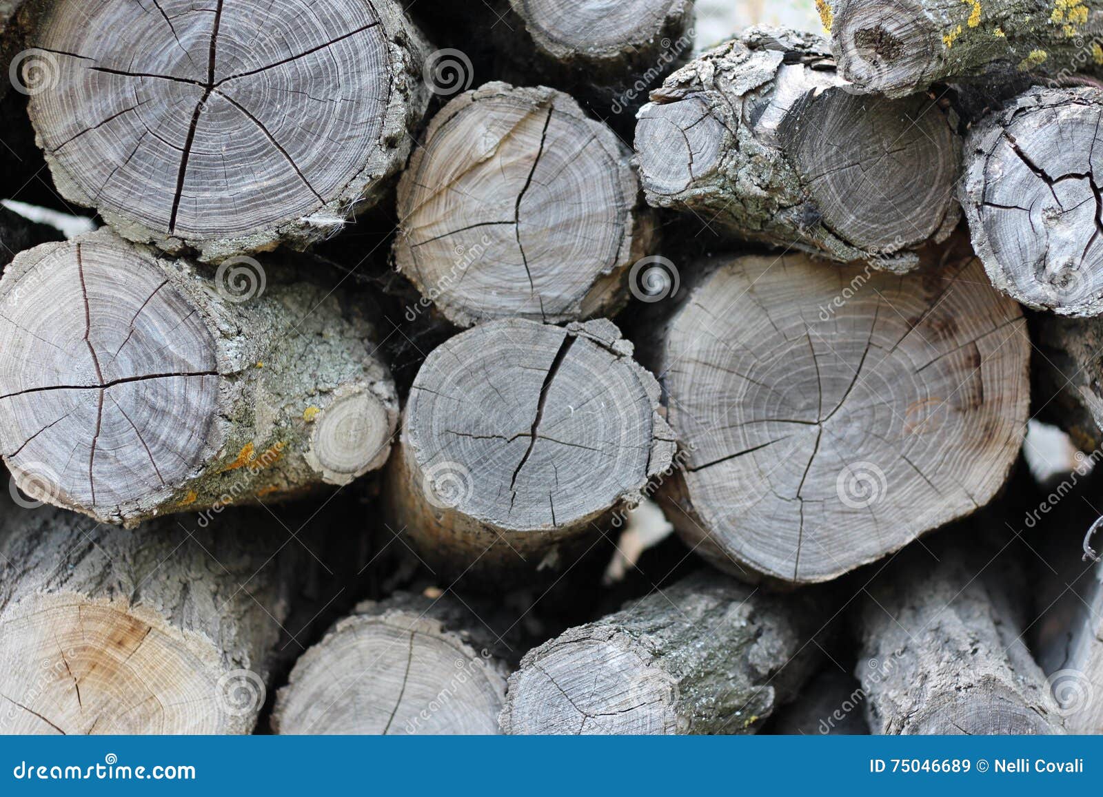 Pile of old logs stock image. Image of trunk, black, middle - 75046689