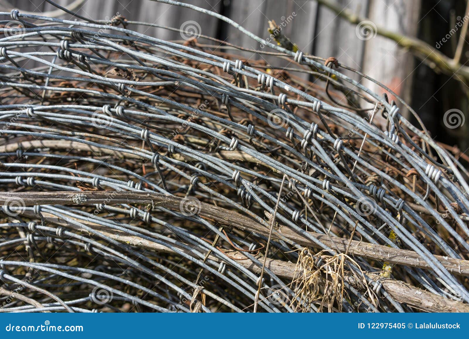 Pile of Old Rusty and New Barbed Wire Stock Image - Image of industry ...