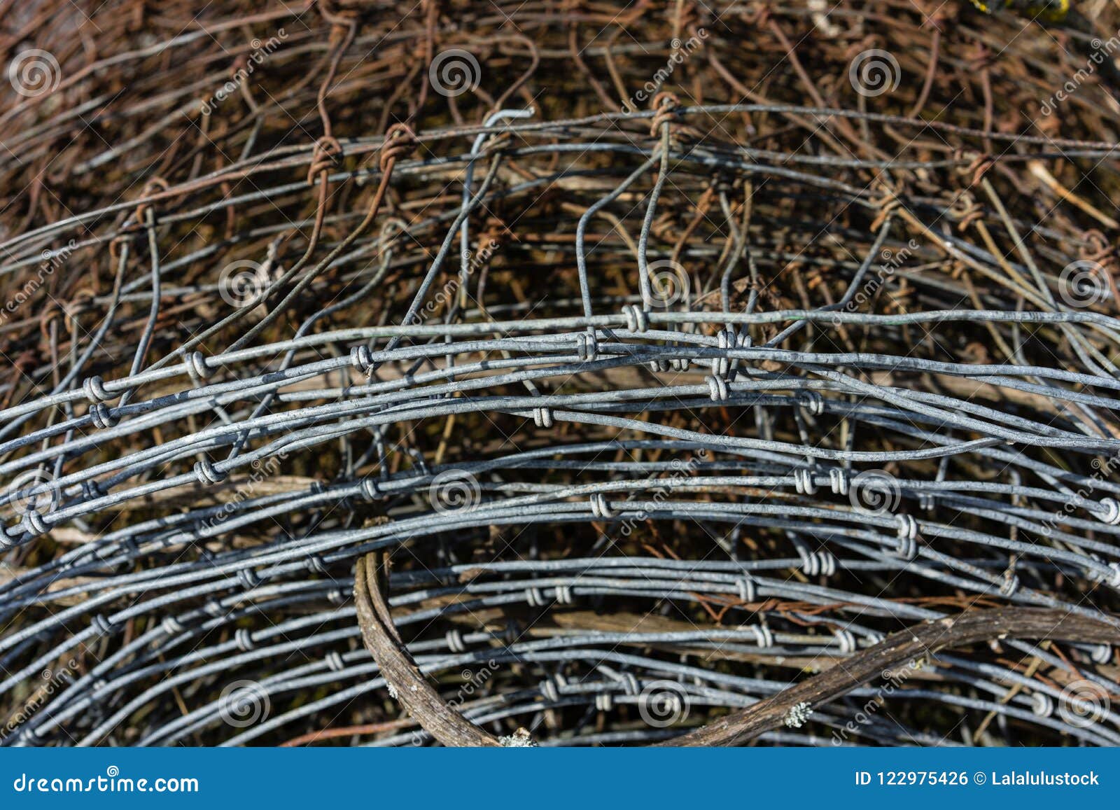 Pile of Old Rusty and New Barbed Wire Stock Photo - Image of circle ...
