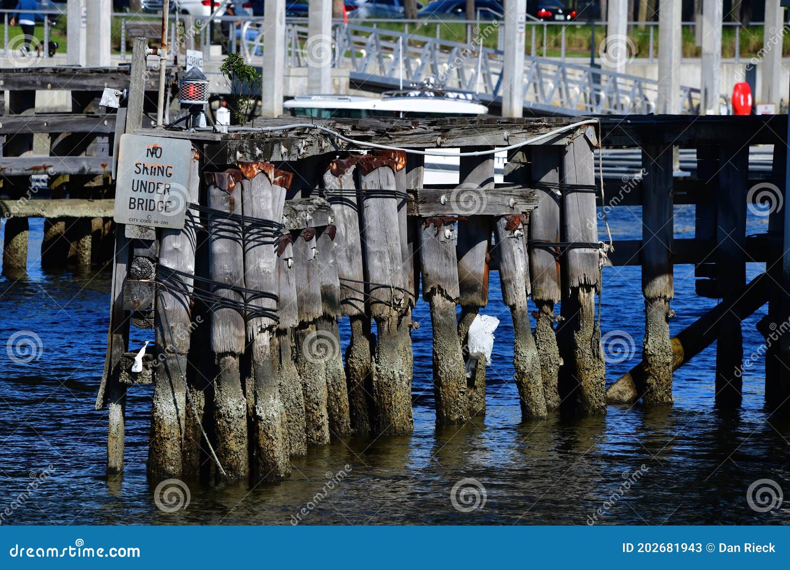 Pile Ons and Dock in Tampa Florida Stock Image - Image of tampa, dock ...