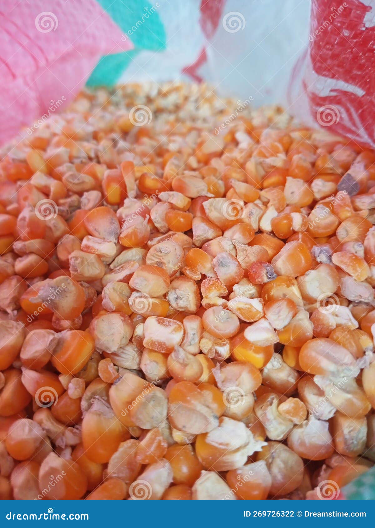 A Pile of Orange Corn Kernels Stock Photo - Image of meal, corn: 269726322
