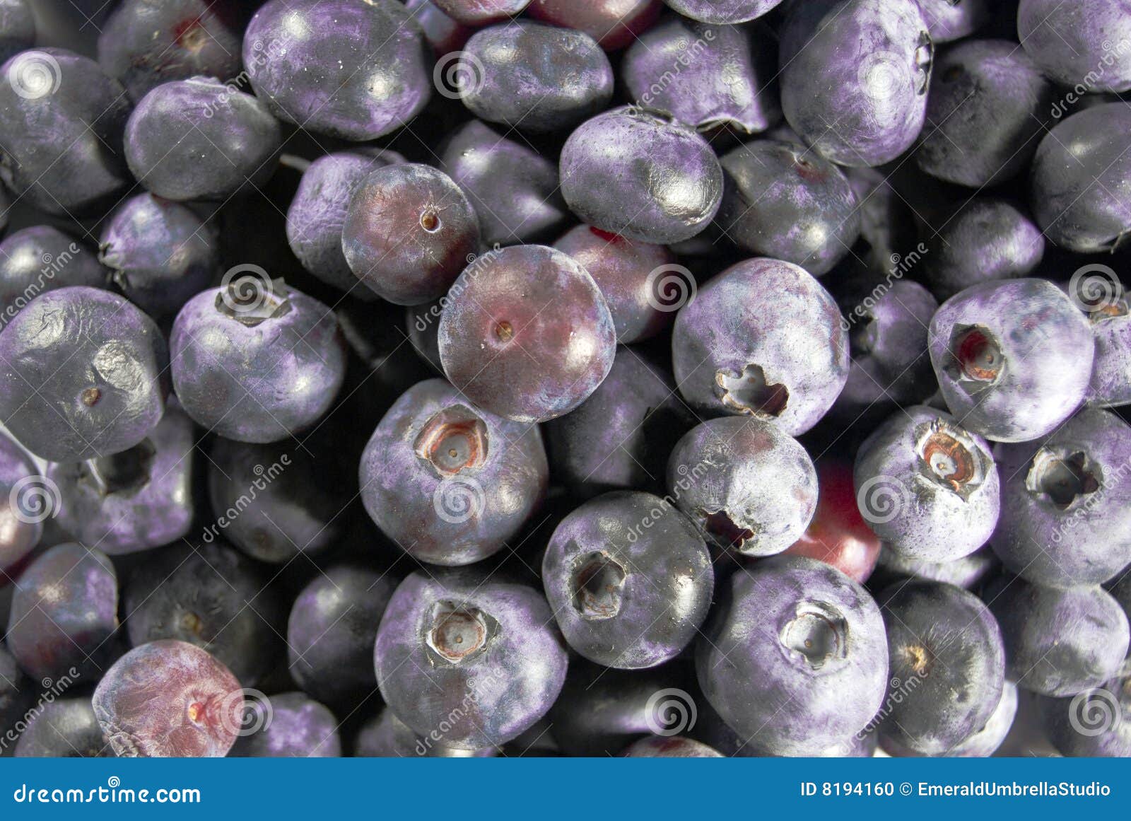Many Blueberries stock photo. Image of indigo, layers - 8194160