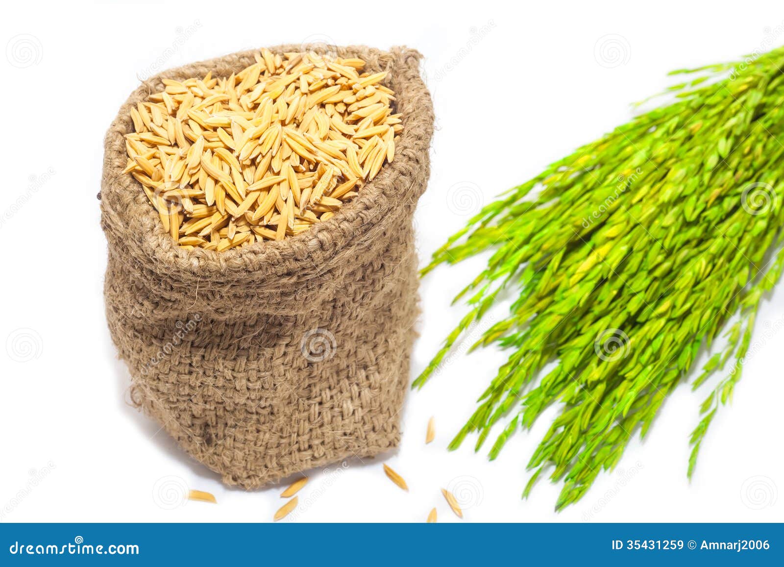 Pile of paddy stock image. Image of green, malaysia, farm - 35431259