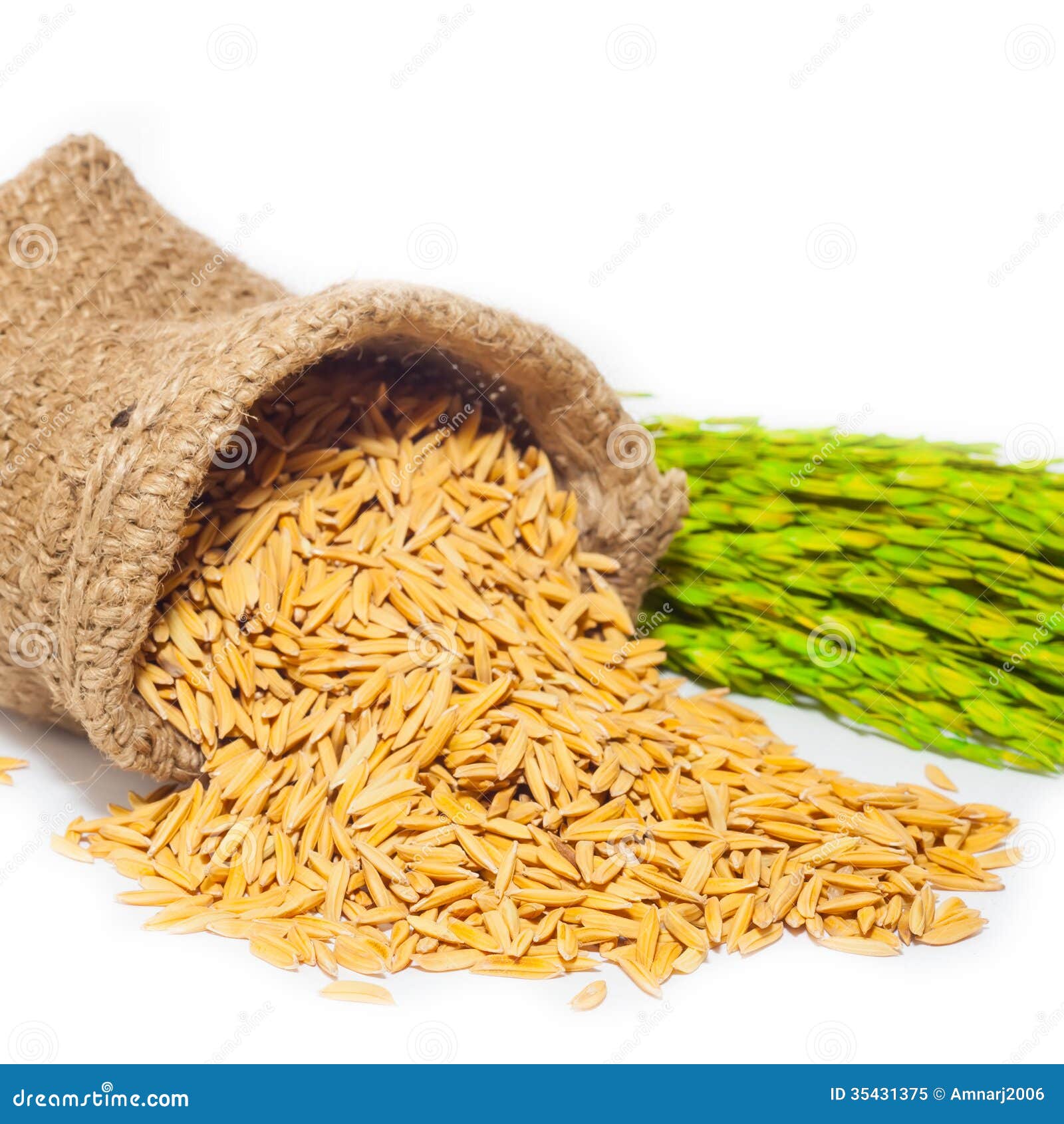 Pile of paddy stock image. Image of laos, crop, detail - 35431375