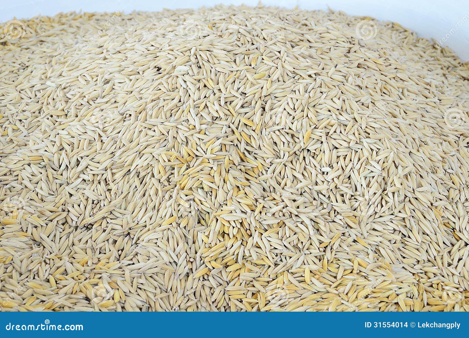 Pile of Paddy in Brown Shell from Thailand Stock Photo - Image of brown ...