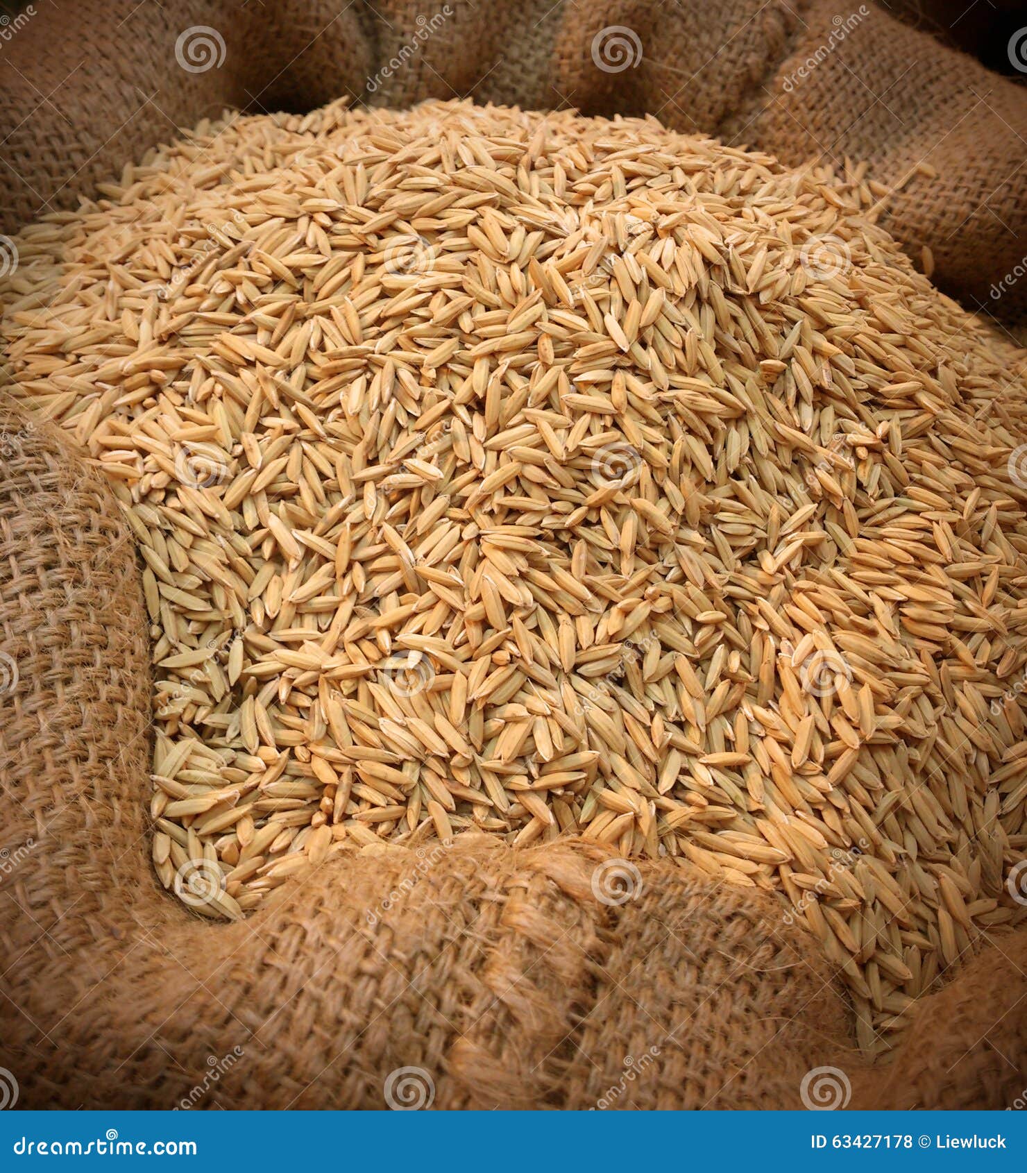 Pile of paddy stock photo. Image of brown, sack, seed - 63427178