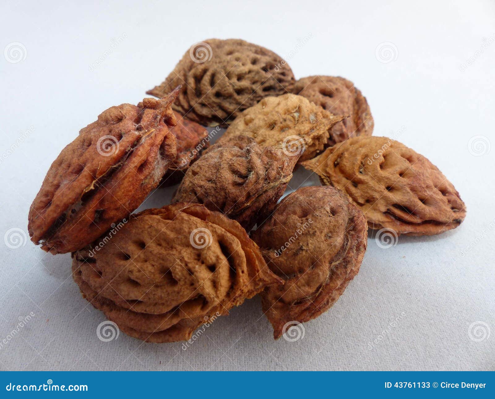 A Pile of Peach Pits stock image. Image of cloth, fruit - 43761133