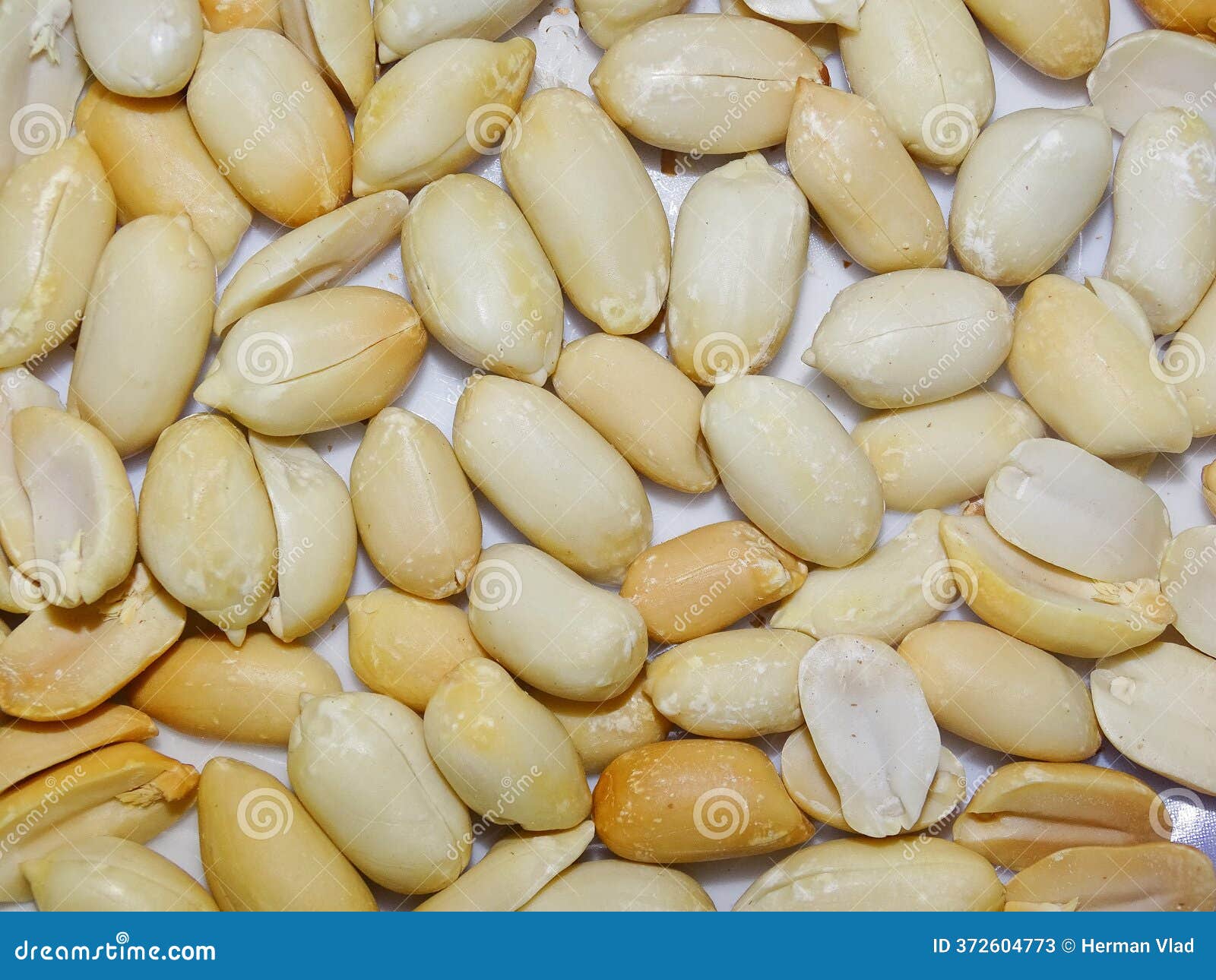 Peanut Background Stock Photo | CartoonDealer.com #48520884