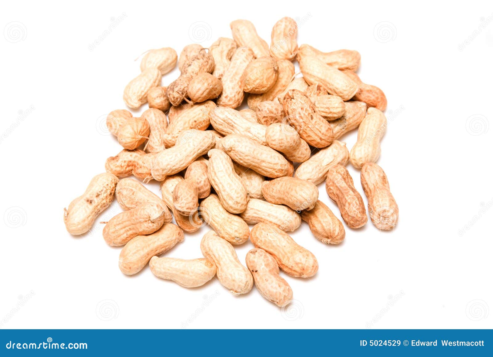 Pile of peanuts in shells stock image. Image of closeup - 5024529