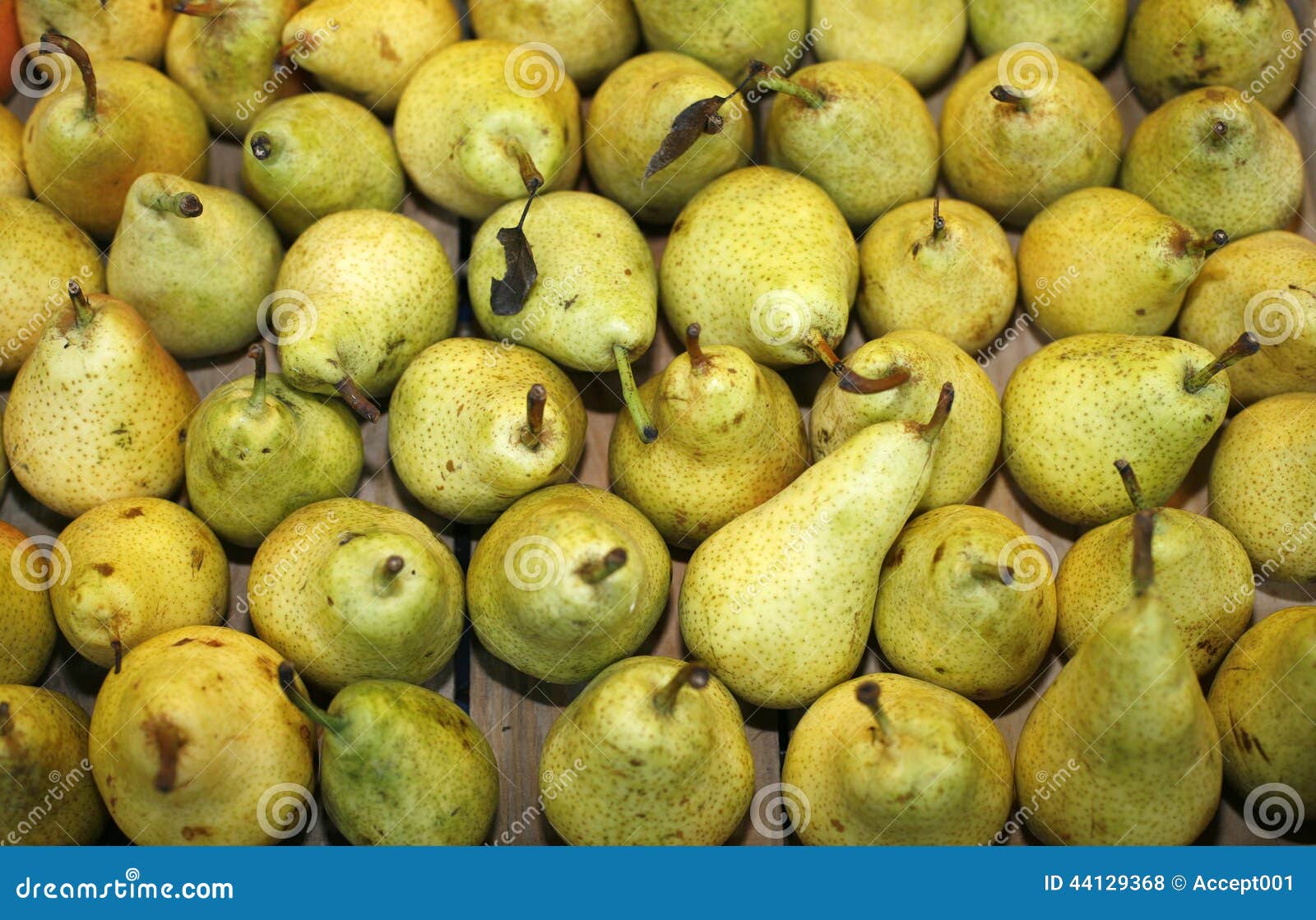 Pile of pears stock photo. Image of fruits, bright, close - 44129368