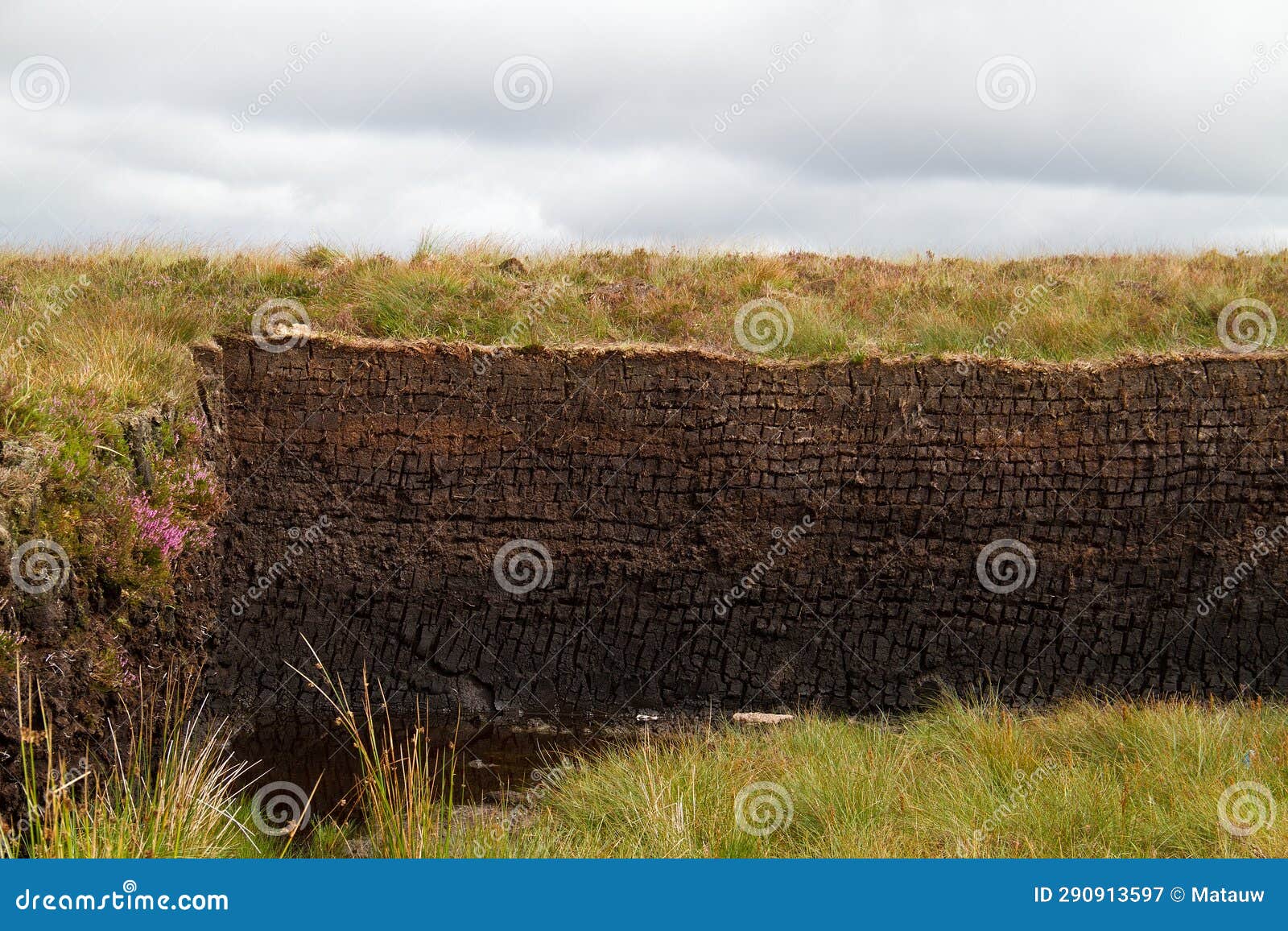 Pile of peat blocks stock image. Image of organic, resource - 290913597
