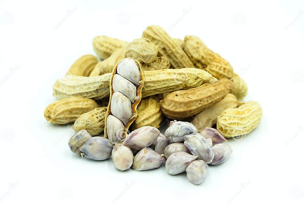 Pile of Penuts on White Background Stock Photo - Image of snack ...